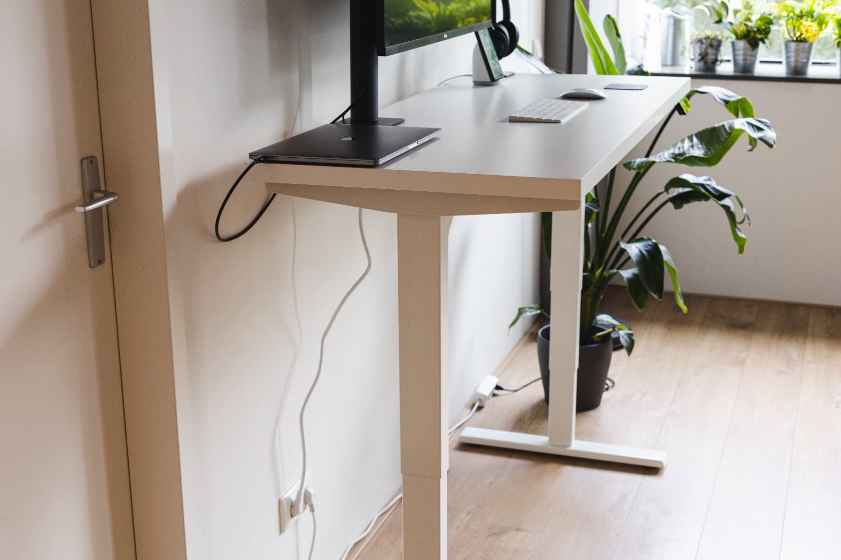 Desk setup with Maidesite Electric Standing Desk Frames – MaidesiteUK
