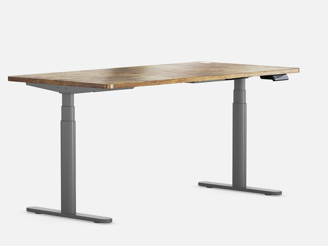 Maidesite TH2 Pro Plus - Electric Standing Desk Height Adjustable Tabl ...